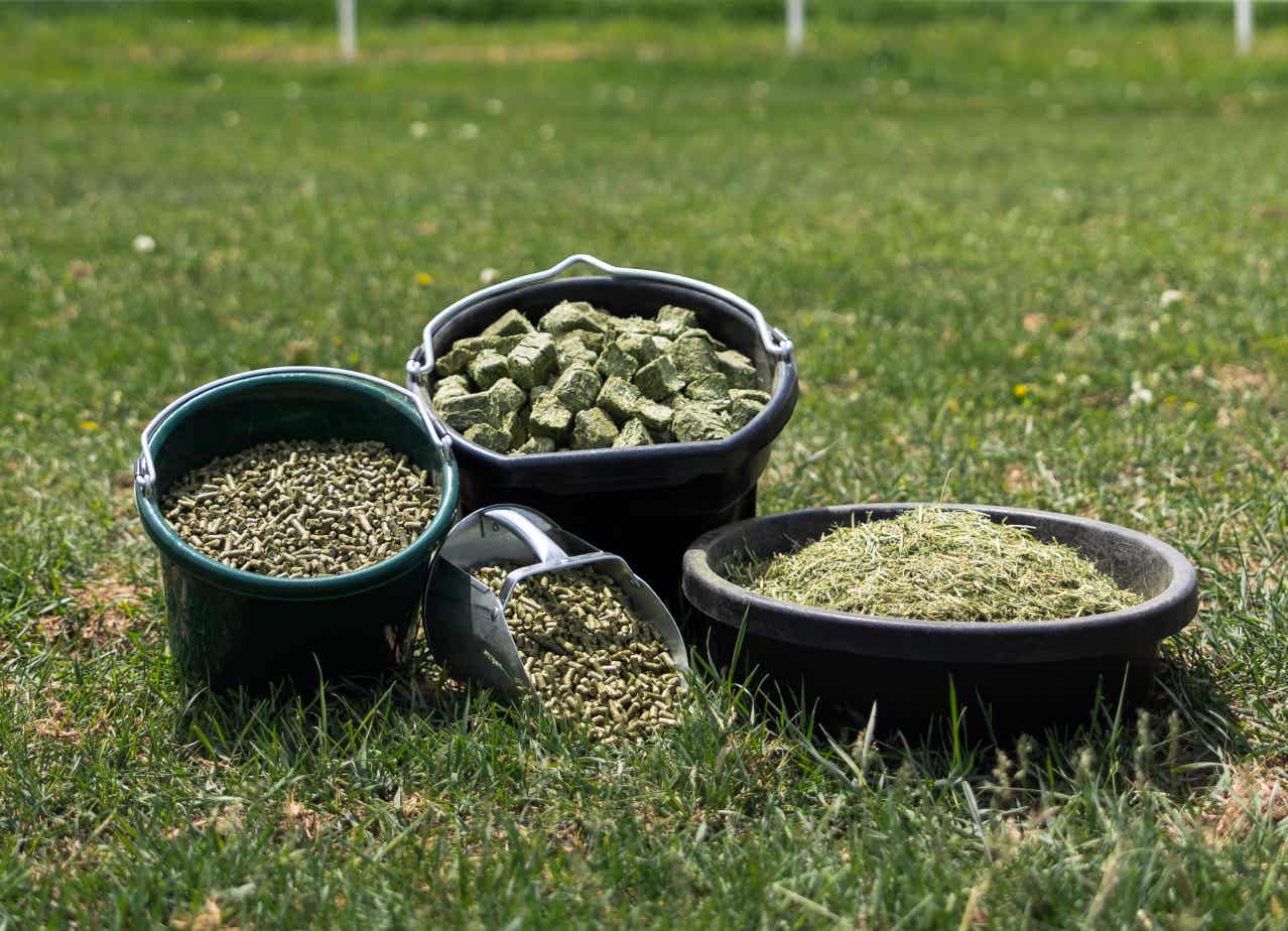 Complete Guide On How to Soak Hay Cubes & Pellets For Horses