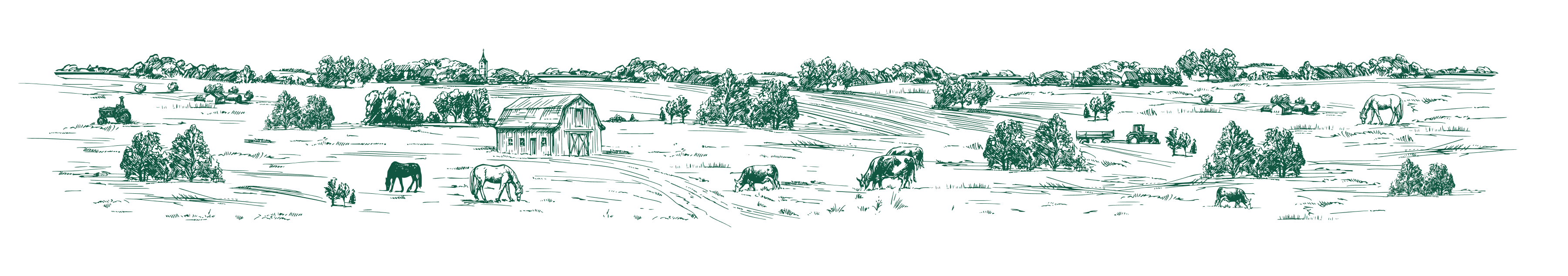 Timothy & Orchard Grass Nutritional Information | Standlee Forage