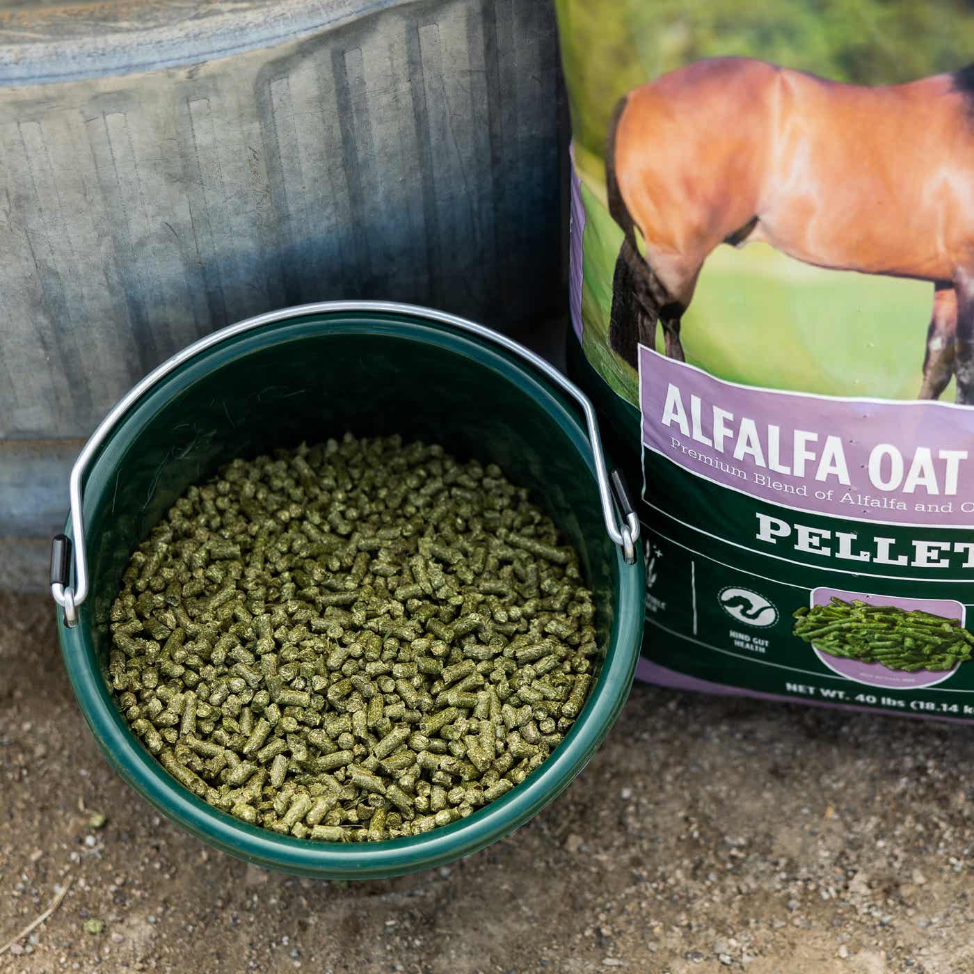 Premium Alfalfa Oat Grass Pellets | Standlee