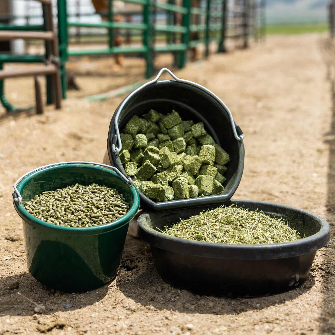 Premium Alfalfa Pellets | Standlee Premium Western Forage