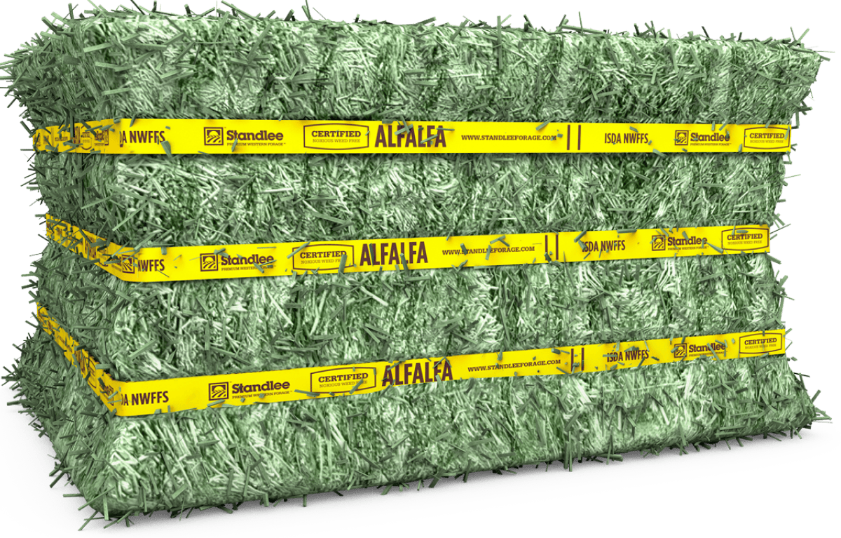 Certified Alfalfa Compressed Bale | Standlee Forage
