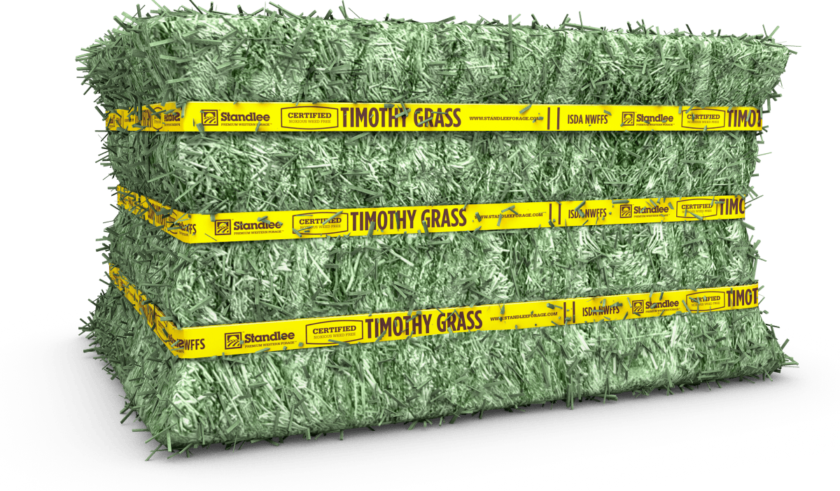 Certified Timothy Compressed Bale | Standlee Premium Forage