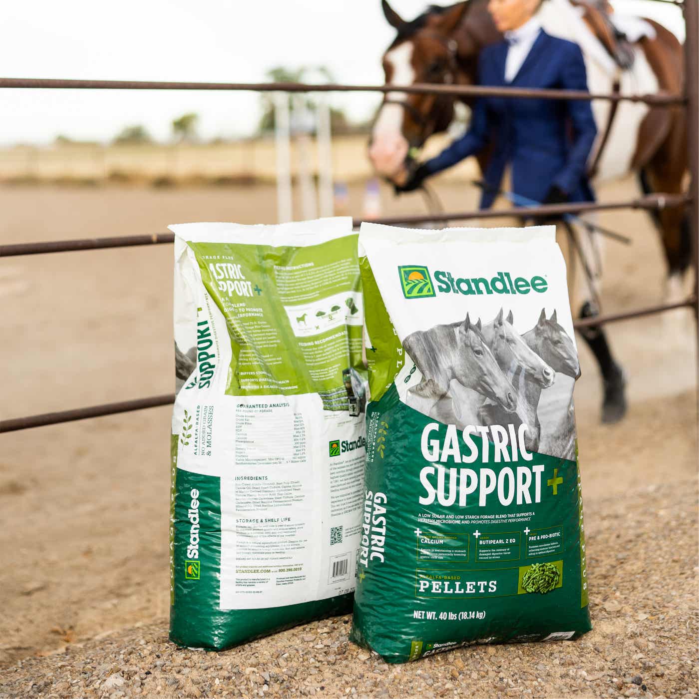 Forage Plus Gastric Support | Standlee Premium Western Forage