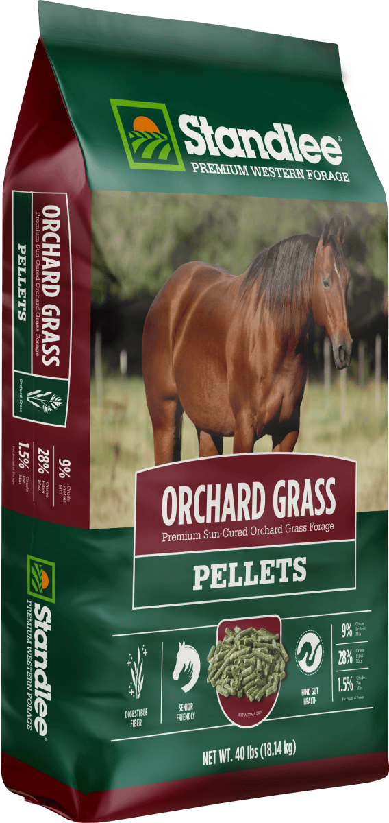 Complete Guide On How to Soak Hay Cubes & Pellets For Horses