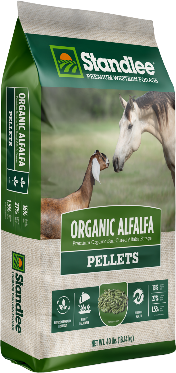 Complete Guide On How to Soak Hay Cubes & Pellets For Horses
