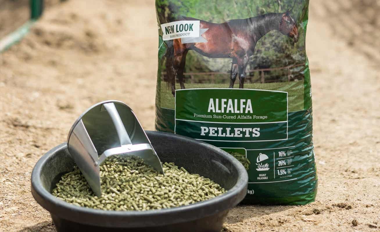 Premium Alfalfa Pellets | Standlee Premium Western Forage