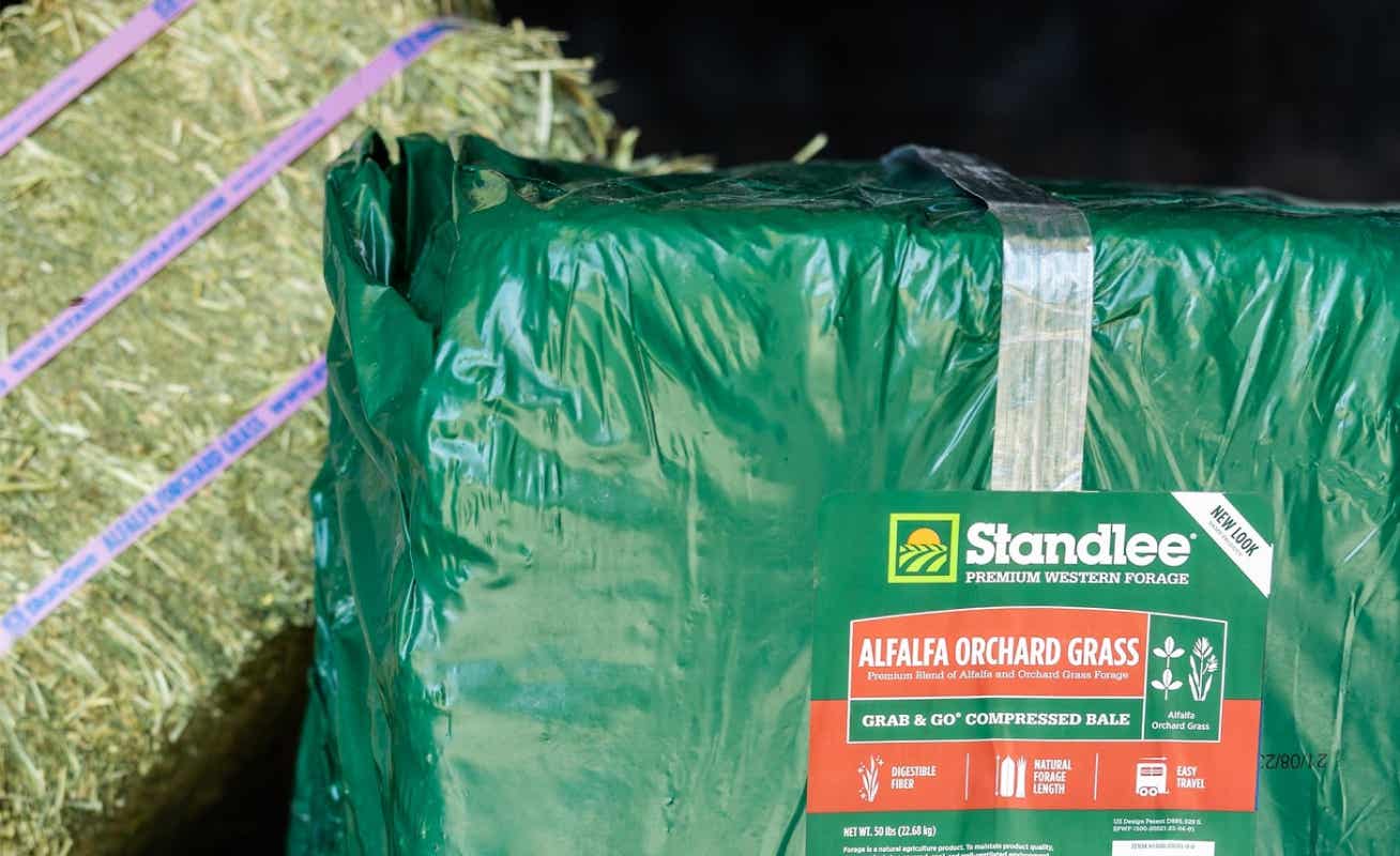 Premium Alfalfa Orchard Grass Grab & Go Compressed Bale