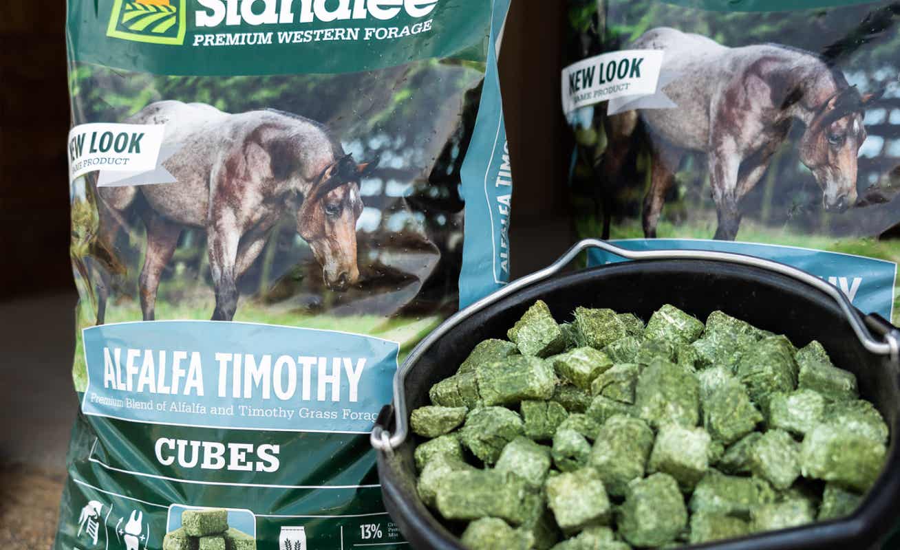 Premium Alfalfa Timothy Cubes | Standlee Premium Forage