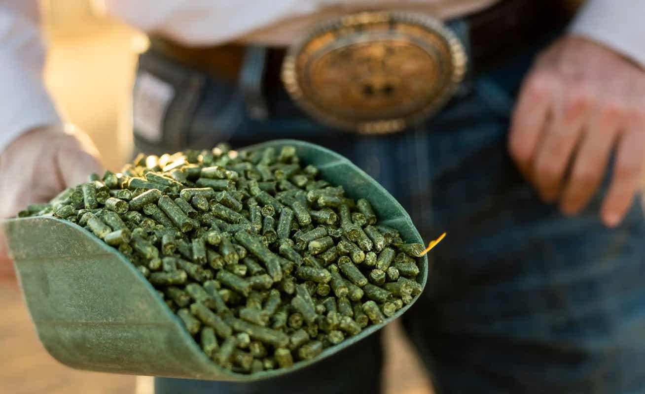 Premium Teff Grass Pellets | Standlee Premium Western Forage