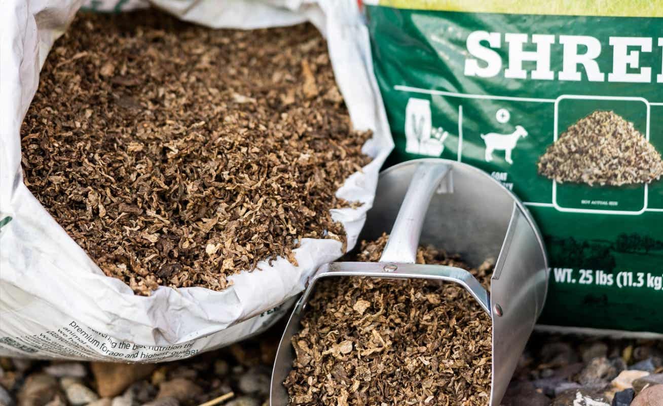Smart Beet Shreds - Premium Beet Pulp Feed Option for Horses