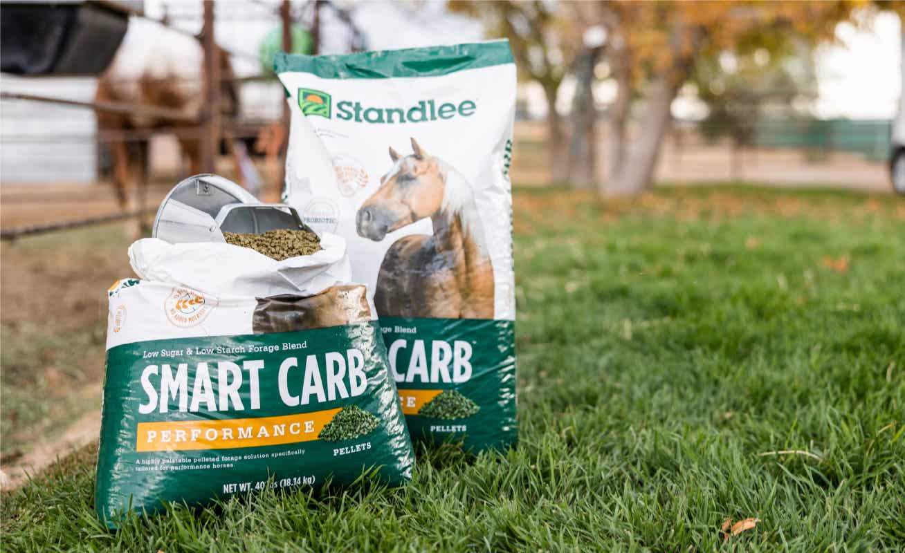 Smart Carb Performance | Standlee Premium Western Forage