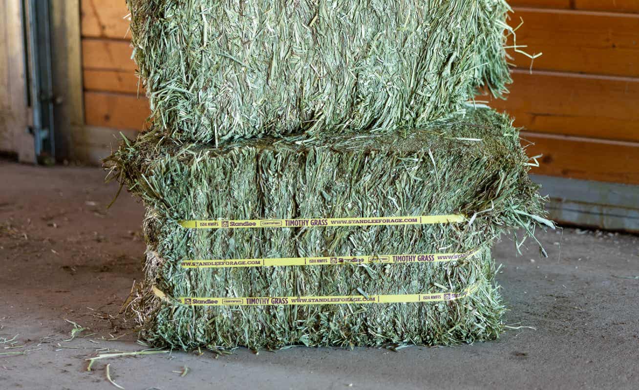 Certified Timothy Compressed Bale | Standlee Premium Forage