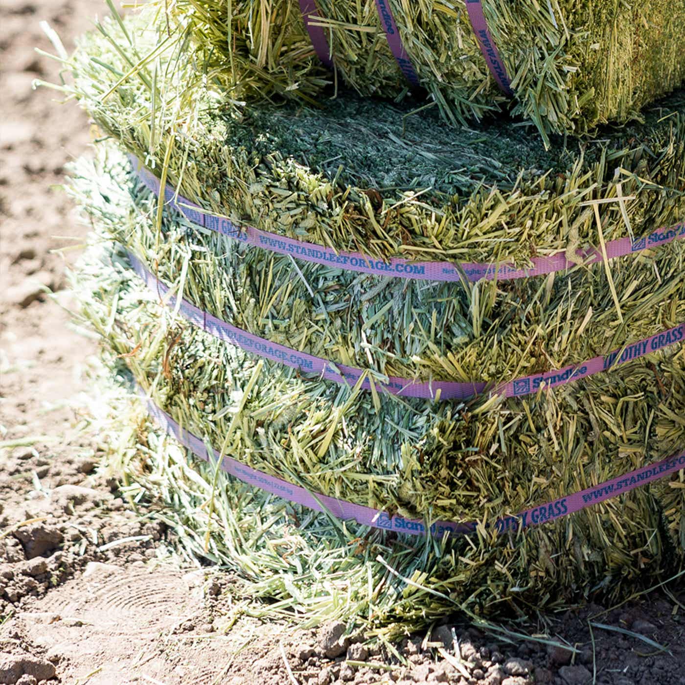 Premium Timothy Compressed Bale | Standlee Premium Forage
