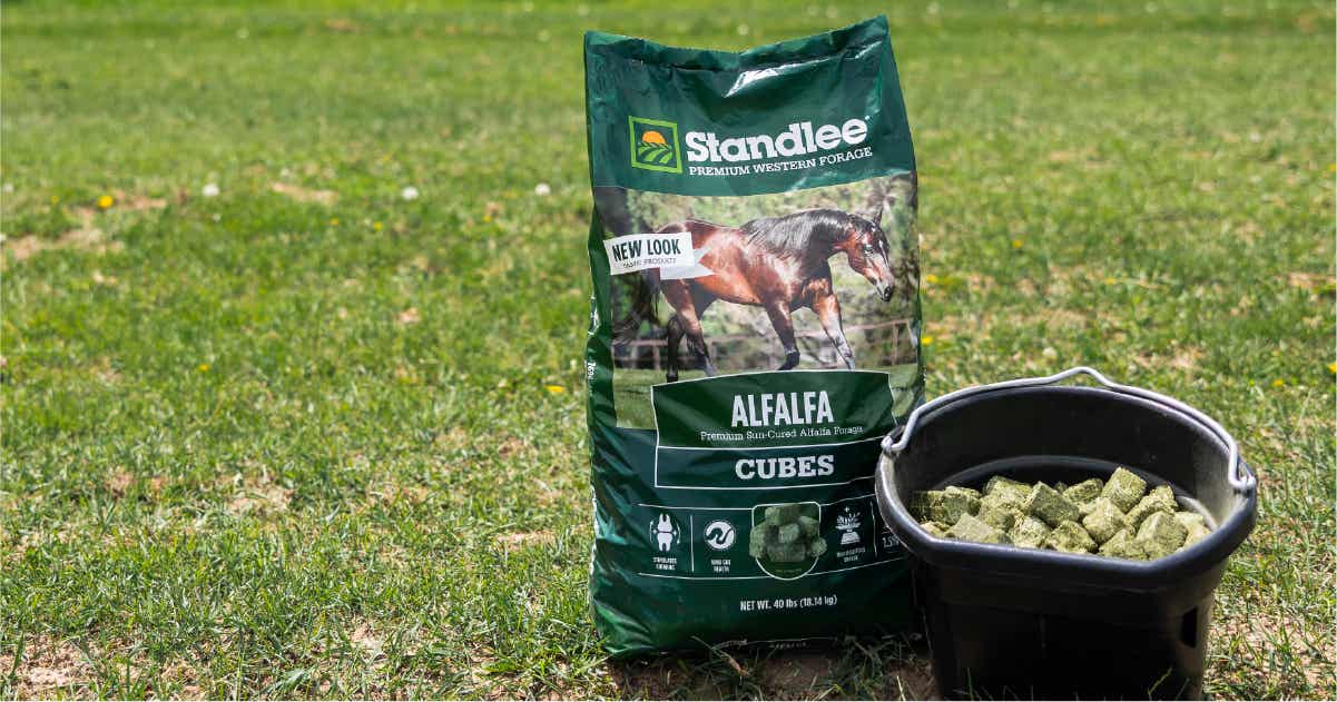 Premium Alfalfa Cubes | Standlee Premium Western Forage