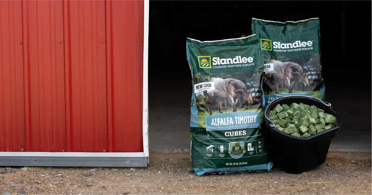 Premium Alfalfa Timothy Cubes | Standlee Premium Forage
