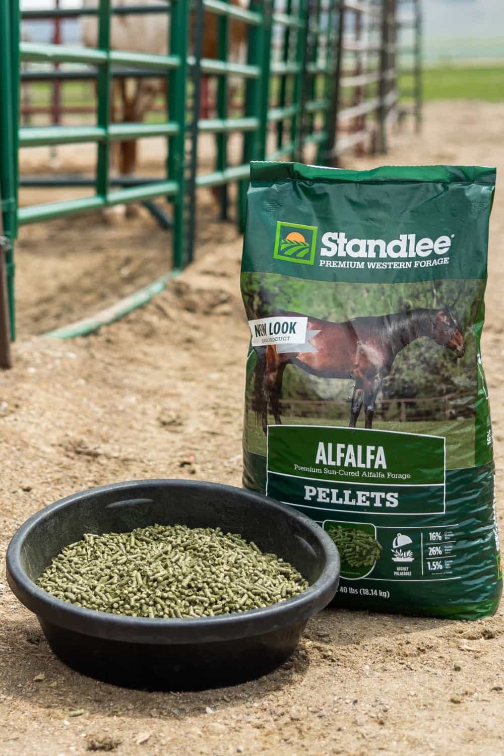 The Ultimate Guide to Feeding Forage Pellets to Horses.