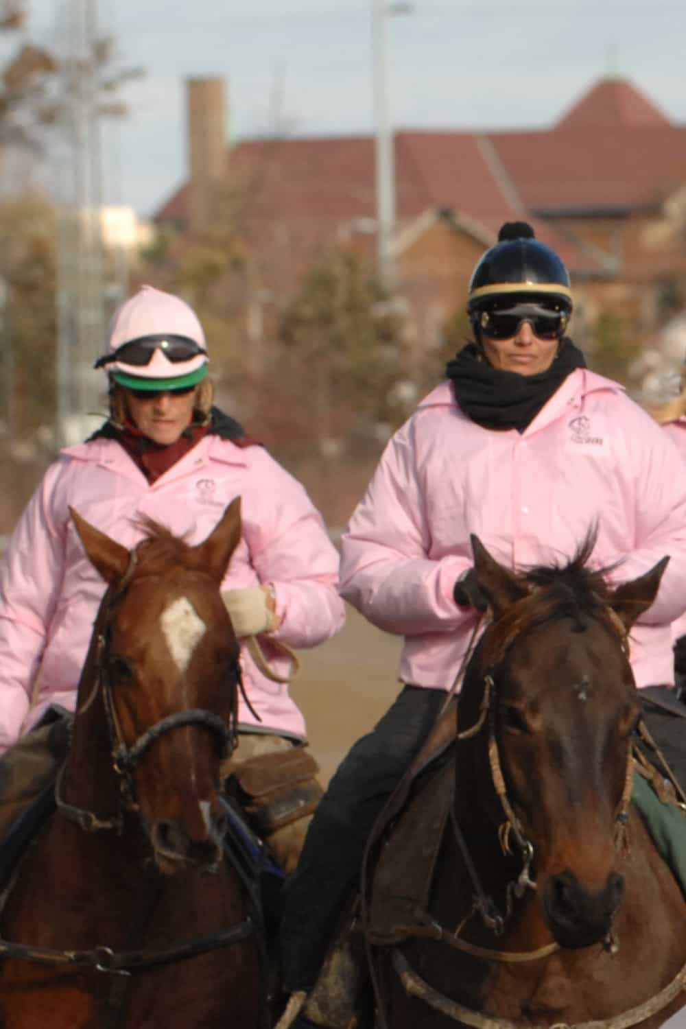 Standlee Supports Breast Cancer Awarness Month With Pink Bales