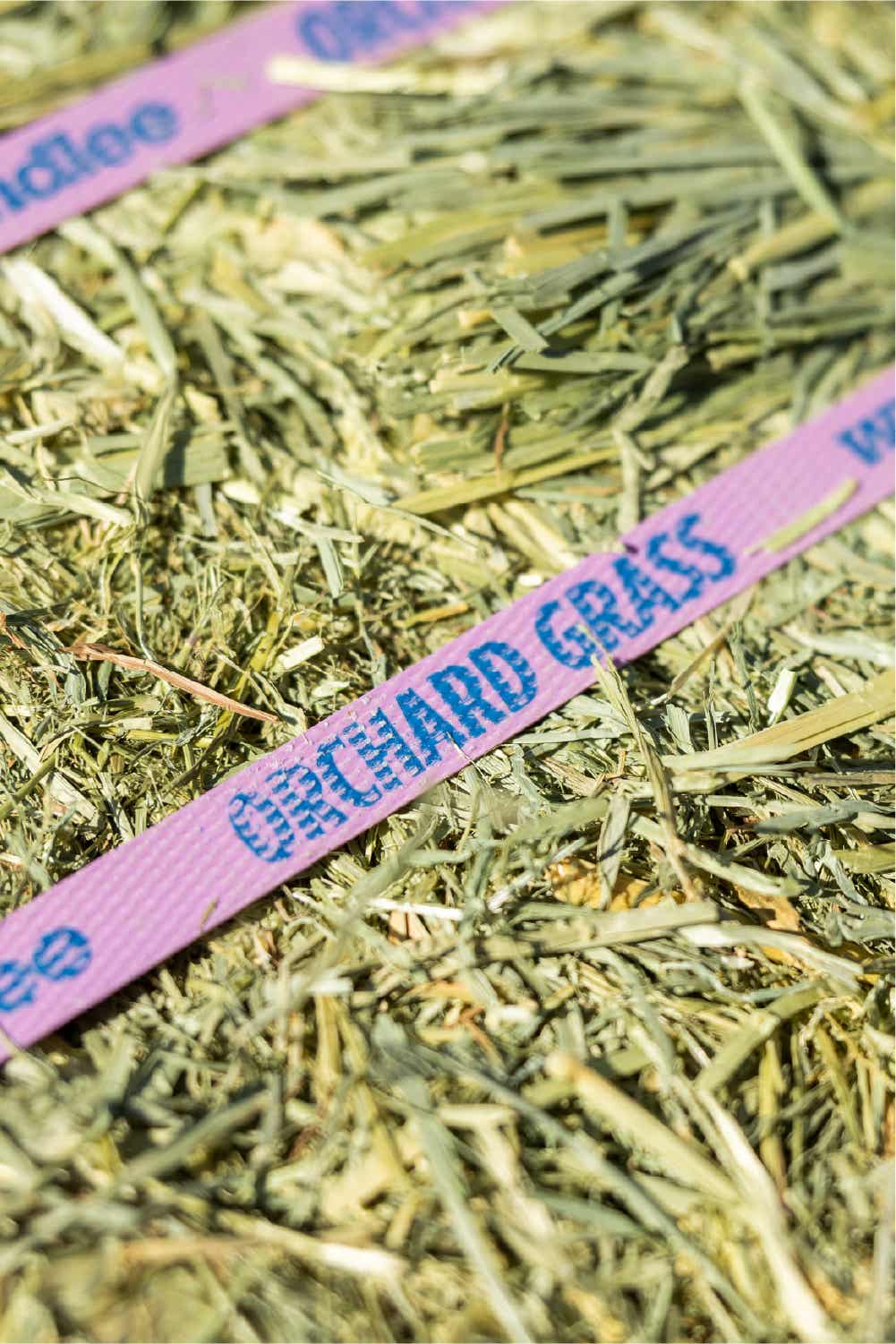Premium Orchard Grass Compressed Bale | Standlee Forage