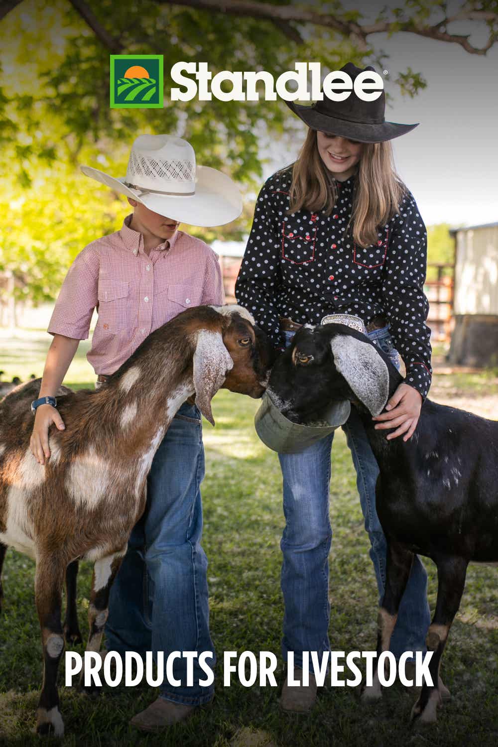 Premium Forage Products for Livestock | Standlee Premium Western Forage