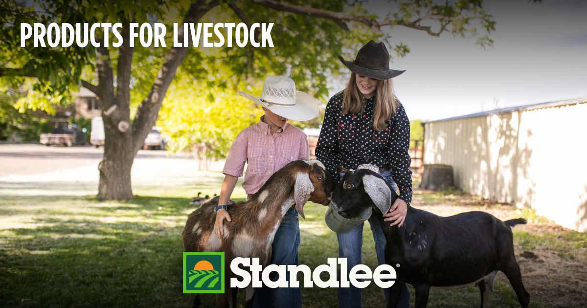 Premium Forage Products for Livestock | Standlee Premium Western Forage
