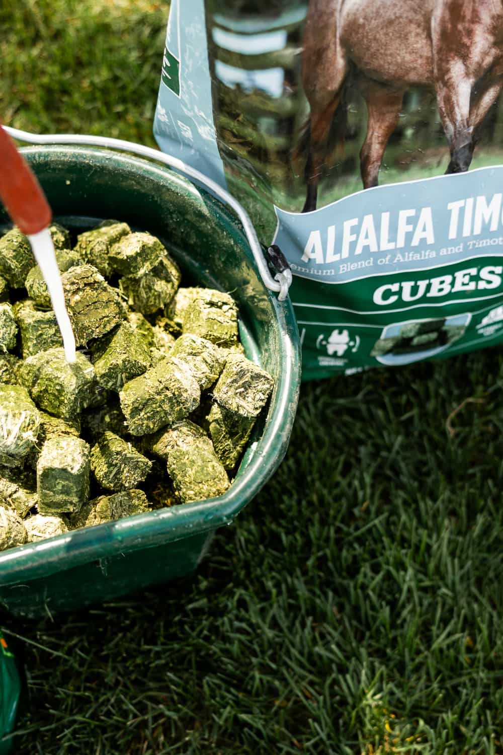 Complete Guide On How to Soak Hay Cubes & Pellets For Horses
