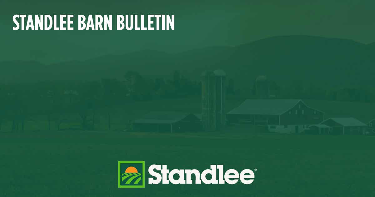 Standlee Barn Bulletin | Horse Nutrition & Forage Blog
