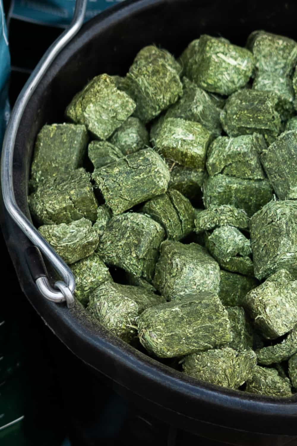 Hay Cubes for Horses: Benefits, Nutrition, & Feeding Tips