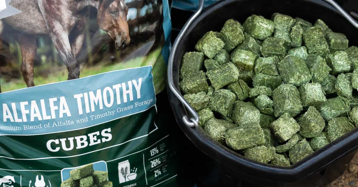 Hay Cubes for Horses: Benefits, Nutrition, & Feeding Tips