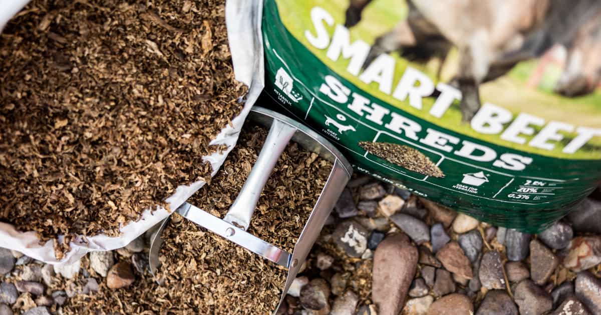 Standlee & Amalgamated Sugar Beet Pulp Horse Feed Partnership