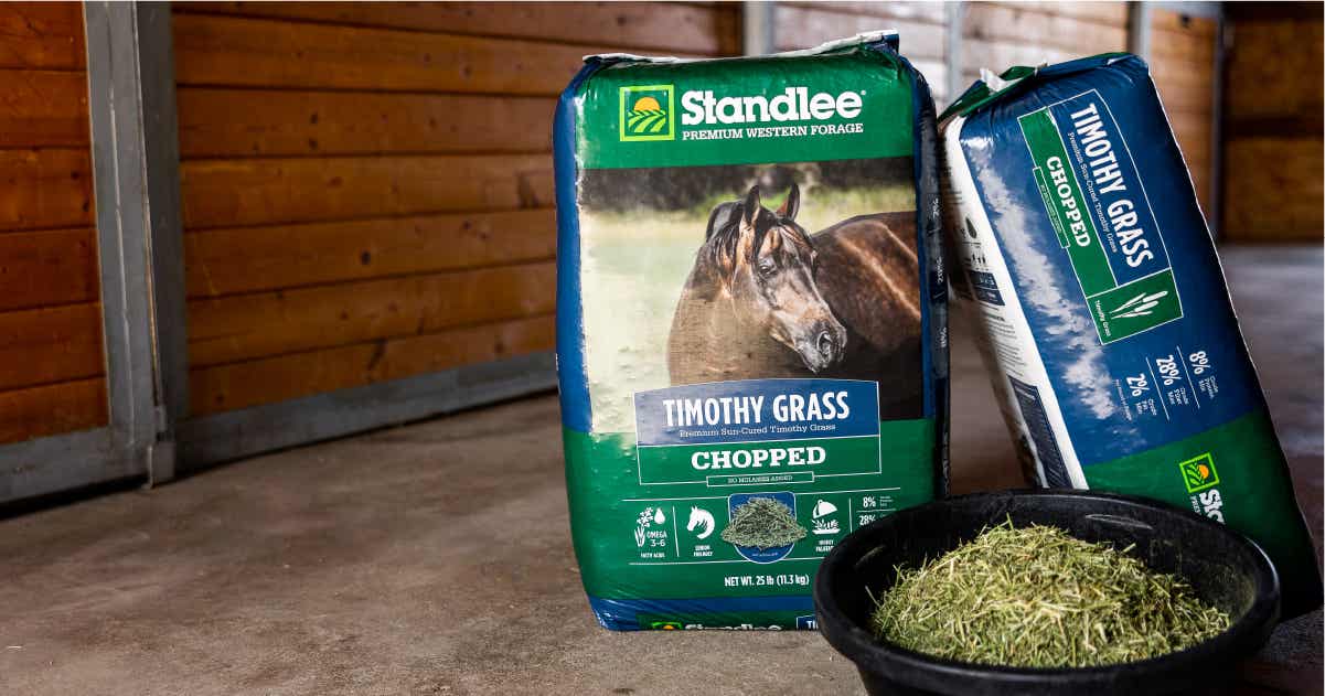 Premium Chopped Timothy Grass Food for Horses | Standlee