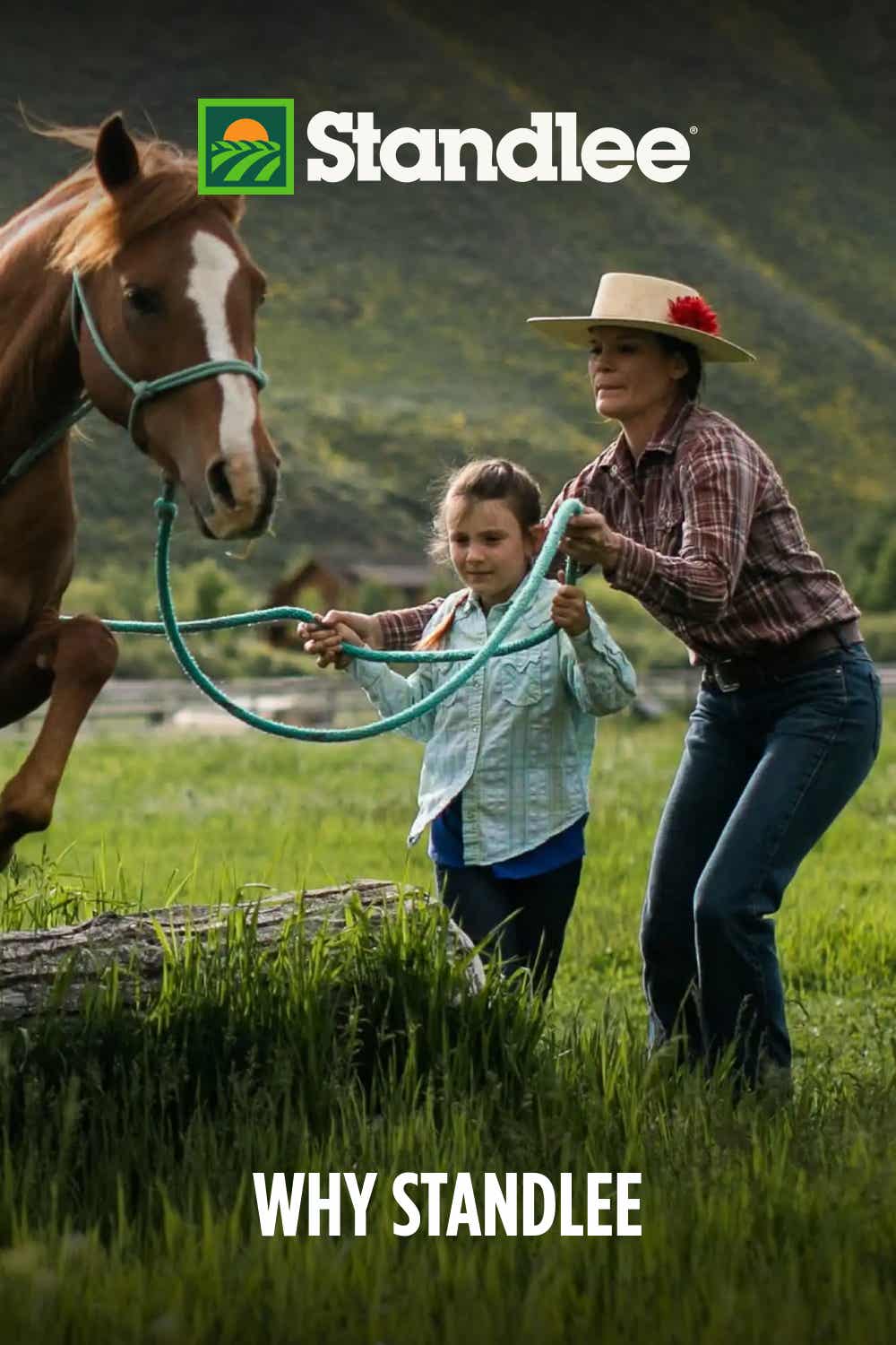 Nutritional Benefits of Feeding High Quality Forage | Why Standlee?